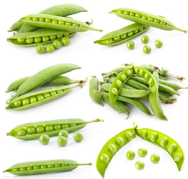 豌豆【中药】【中医百科】