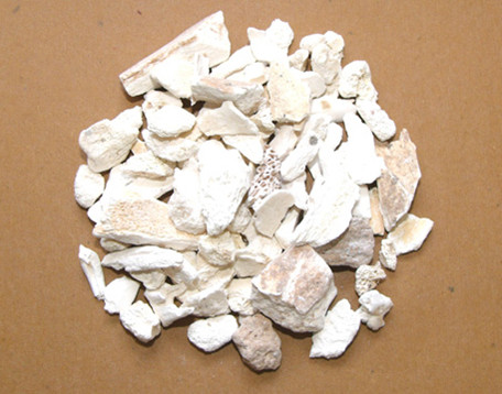 龙骨【中药】【中医百科】